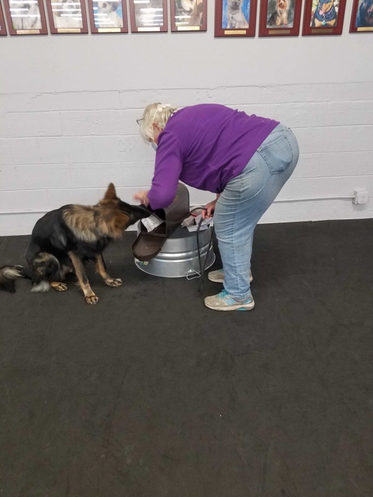 Trick Dog Class | Northwest Obedience Club